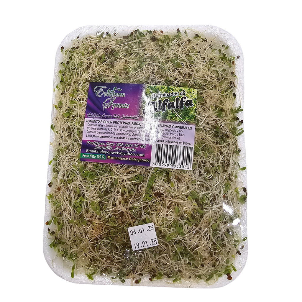 Germinados De Alfalfa Evergreen Sprouts Bandeja 100Gr | SuperBooM